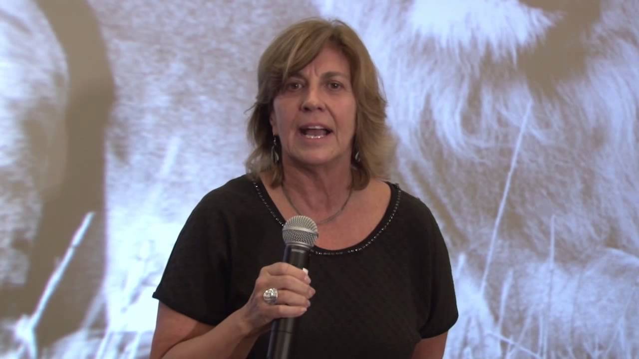 Vicki Porter at the Mindset Retreat 2015 - YouTube