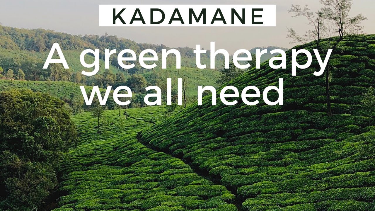 Kadamane tea estate|sinnadorai bungalow|hidden places in Sakleshpur.# ...