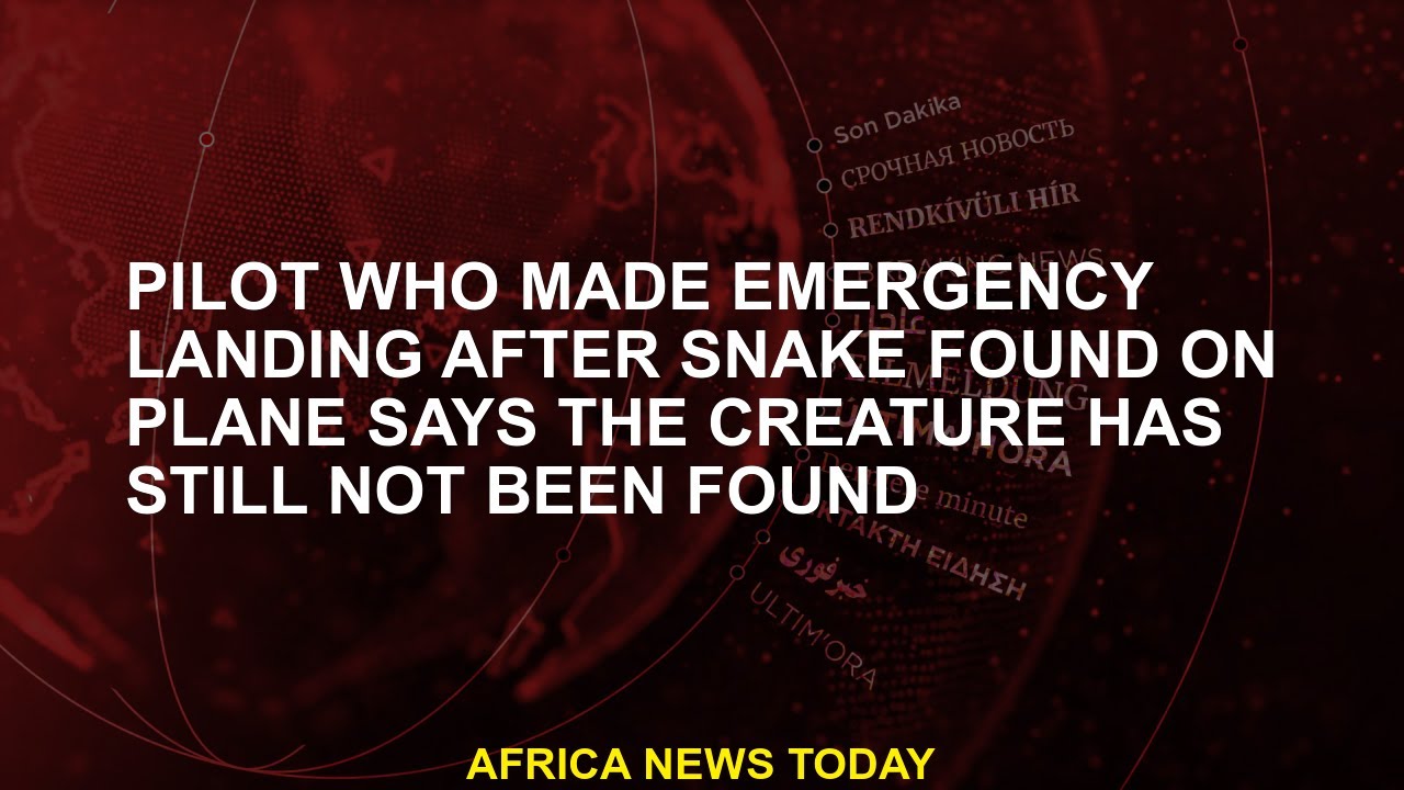 Pilot who made emergency landing after snake found on plane says the ...
