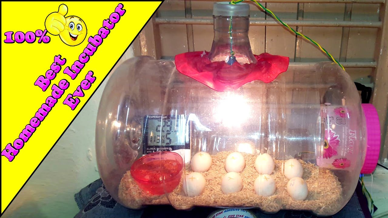 DIY Homemade Incubator Simple And Easy || Hatching Chicken Eggs - YouTube