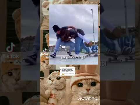 Tiktok knk videoları
