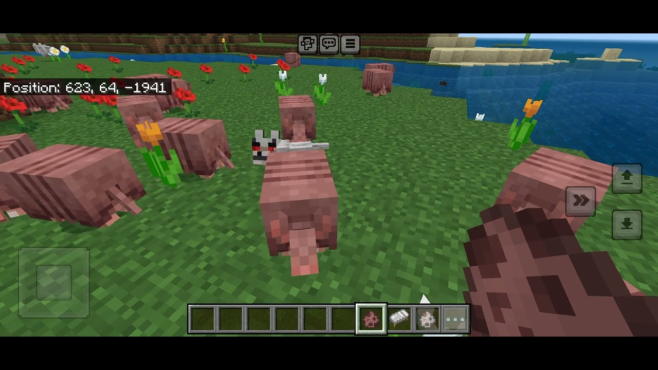 Armored paws drop || Minecraft new update 😍|| #minecraft - YouTube