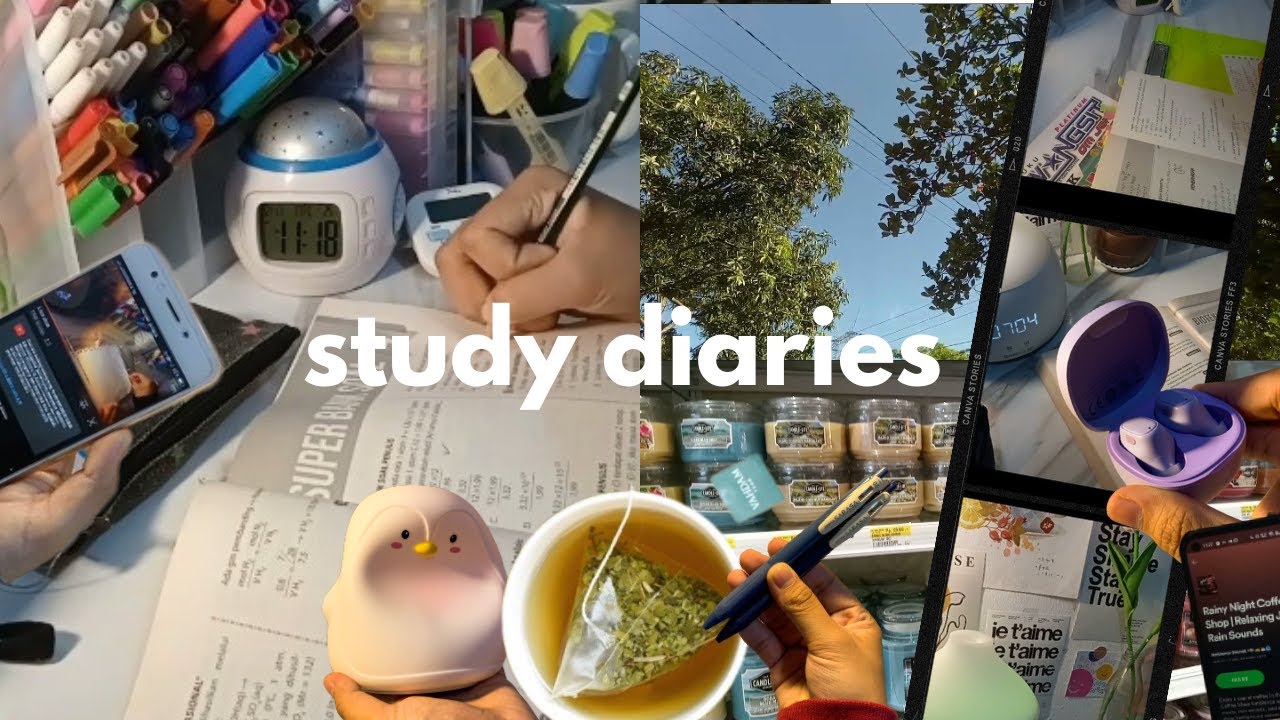 study diaries, preparing for university exam, a day in my life l ...