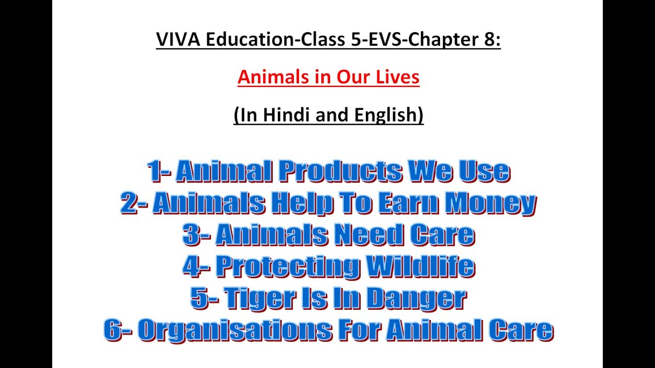 VIVA Education Class 5 EVS Chapter 8 Animals In Our Lives YouTube VIVA Education Class 5 EVS Chapter 8 Animals In Our Lives YouTube