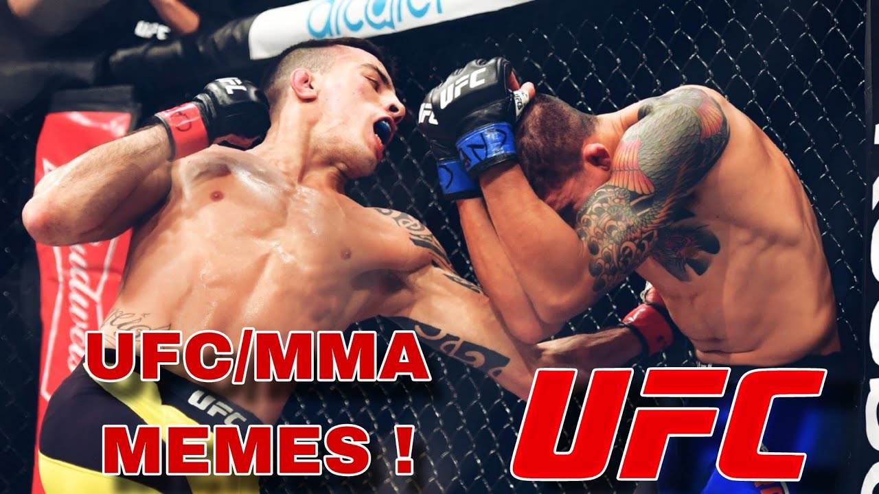 UFC/MMA memes and tik toks - YouTube