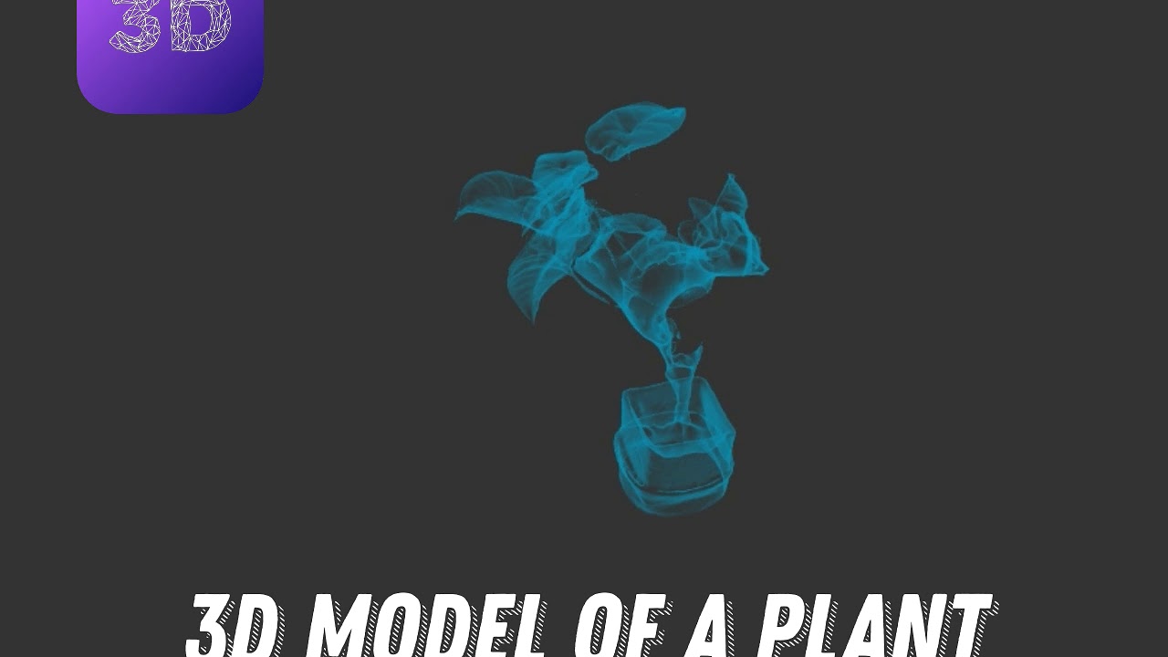 3D model of a Plant using 3D scanner pro app - YouTube