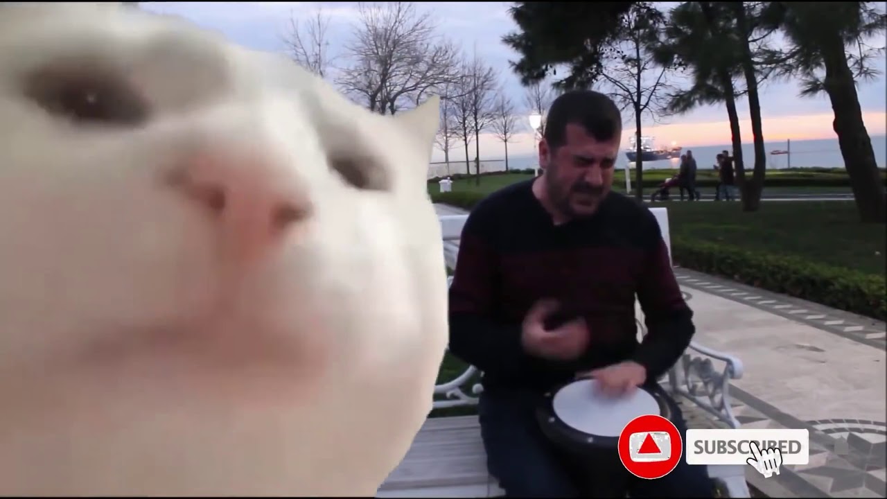Cat Vibing To Ievan Polkka and BlueNucleus | Cat Vibing To Music Video ...