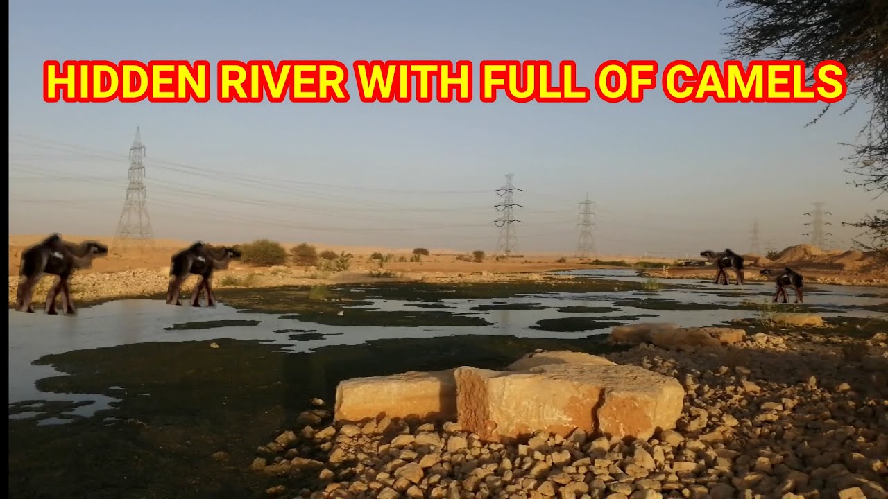 Saudi Arabia: Hidden River in the Desert near Riyadh City - YouTube