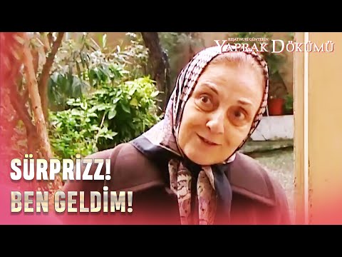 Cevriye Dayanamayıp İstanbul'a Gitti! - Yaprak Dökümü 68. Bölüm