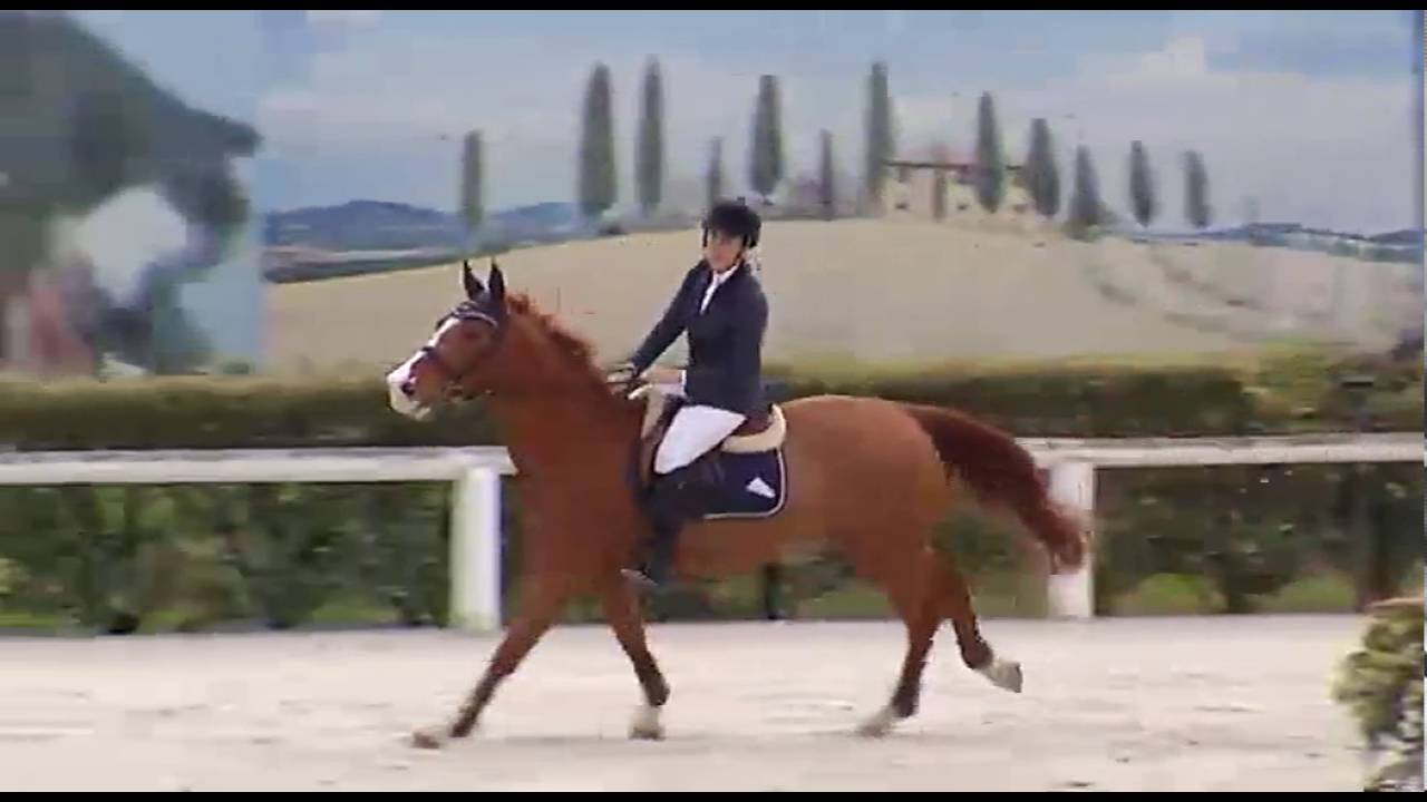 Arezzo Equestrian Center C130 - YouTube