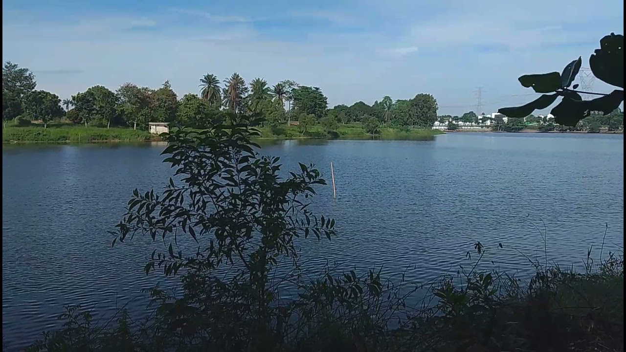 Keindahan Situ Sawangan & Setu Tujuh Muara Yang Menyatu Di Depok - YouTube