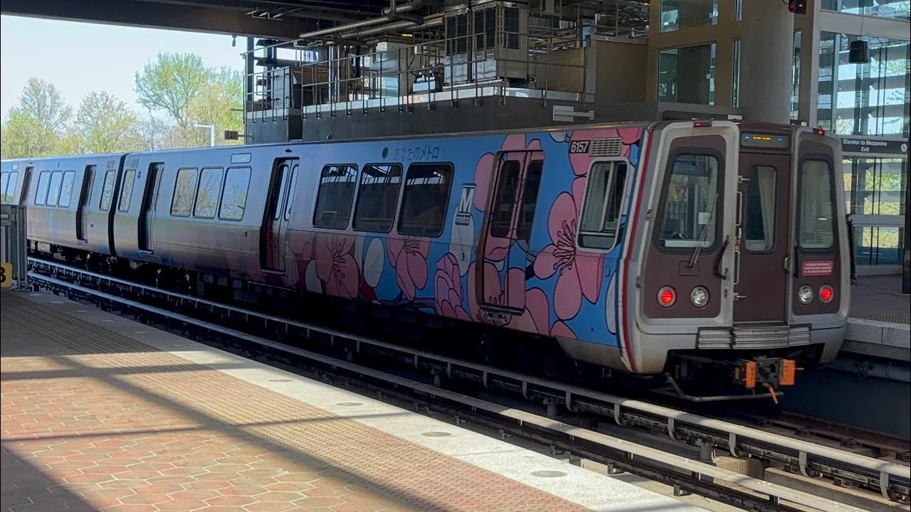 WMATA Cherry Blossom Train at Potomac Yard - YouTube