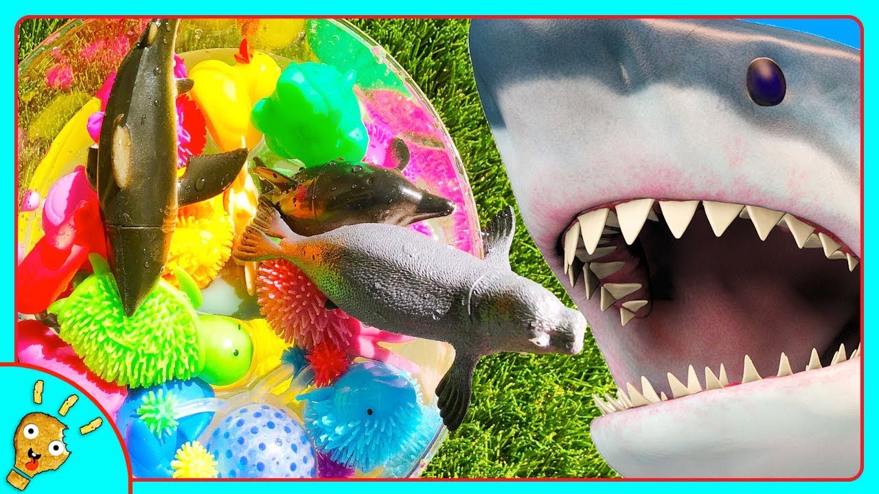 Wild MARINE Animals in a Bucket of Water by Squishee Nugget - YouTube