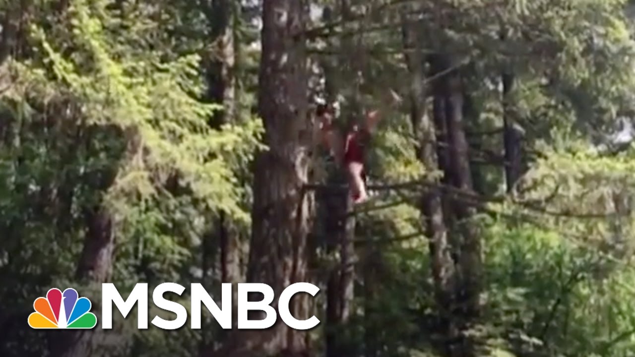 What To Do If You Fall From A Tree (Web Exclusive) | Split Second Decision | MSNBC - YouTube