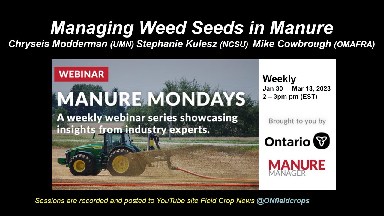 Manure Monday - Managing Weed Seeds in Manure - YouTube