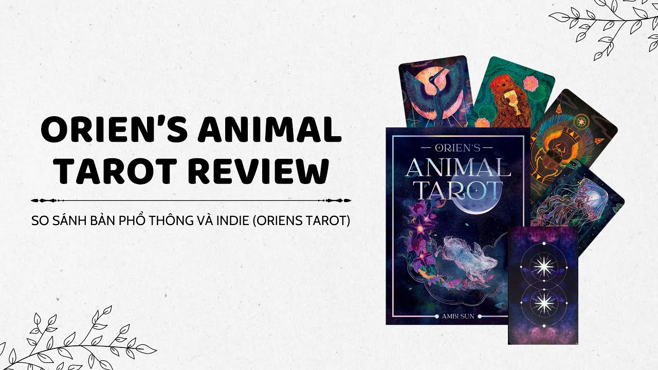 Review bài Tarot | ORIEN’S ANIMAL TAROT - Ambi Sun - YouTube