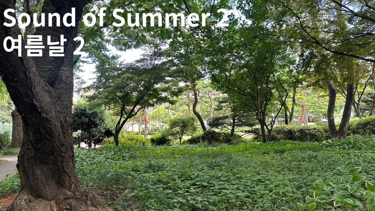 Sound of Summer 2 여름날 2 - YouTube
