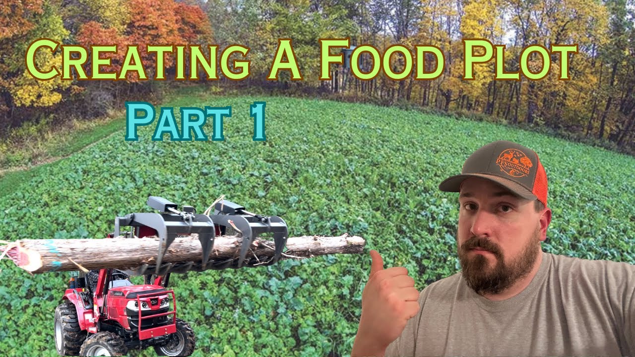 Creating A Food Plot and Habitat | First step is clearing the land - YouTube