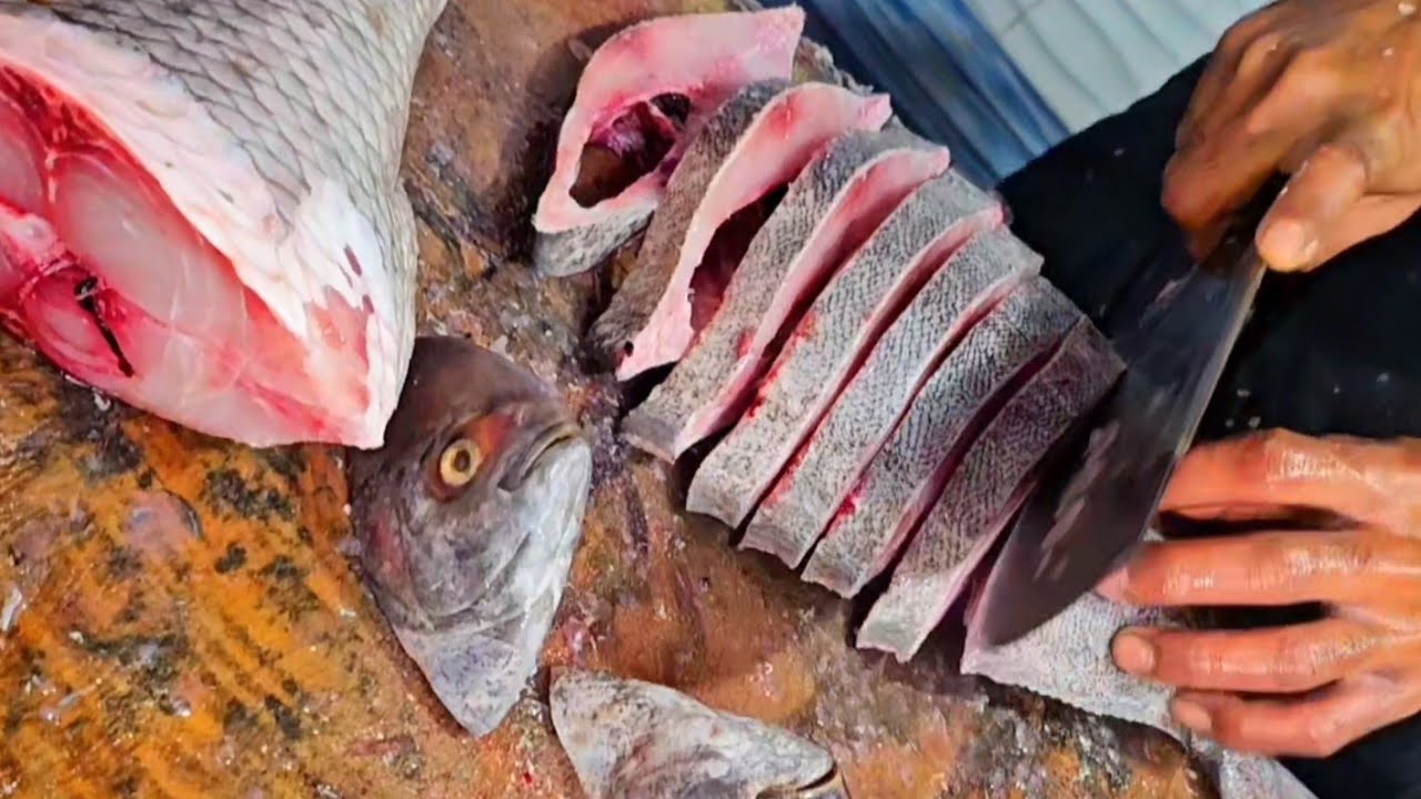 Big black pomfret silver pomfret vaval fish halwa fish വെള്ള ആവോലി മീ ...