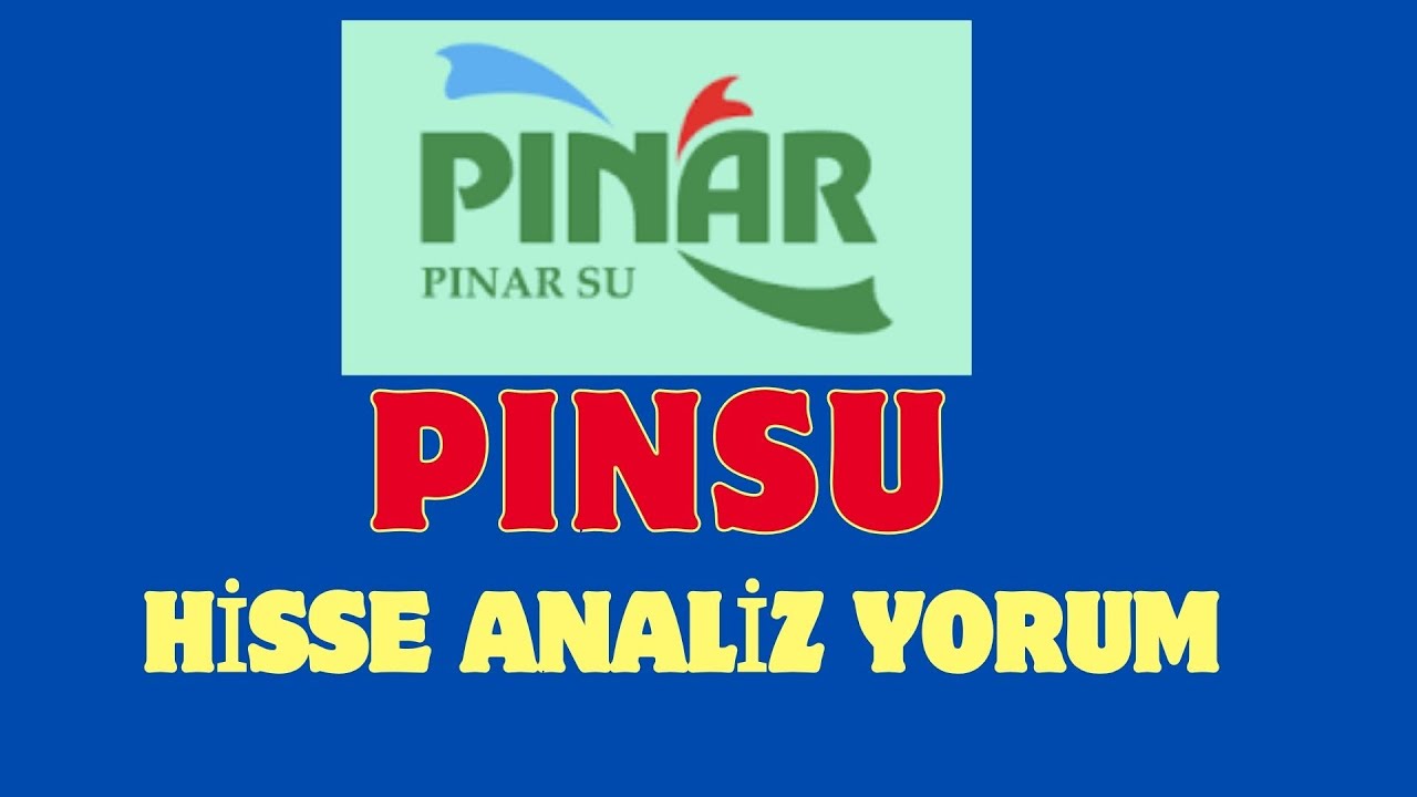 PINSU HİSSE ANALİZ YORUM #pınsu #pınarsu #pınsuhisse - YouTube