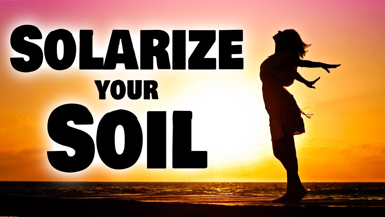 Solarization of Soil - Fighting Root Knot Nematodes - YouTube