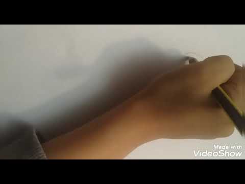 🦅Qartal şəkili çəkmək .