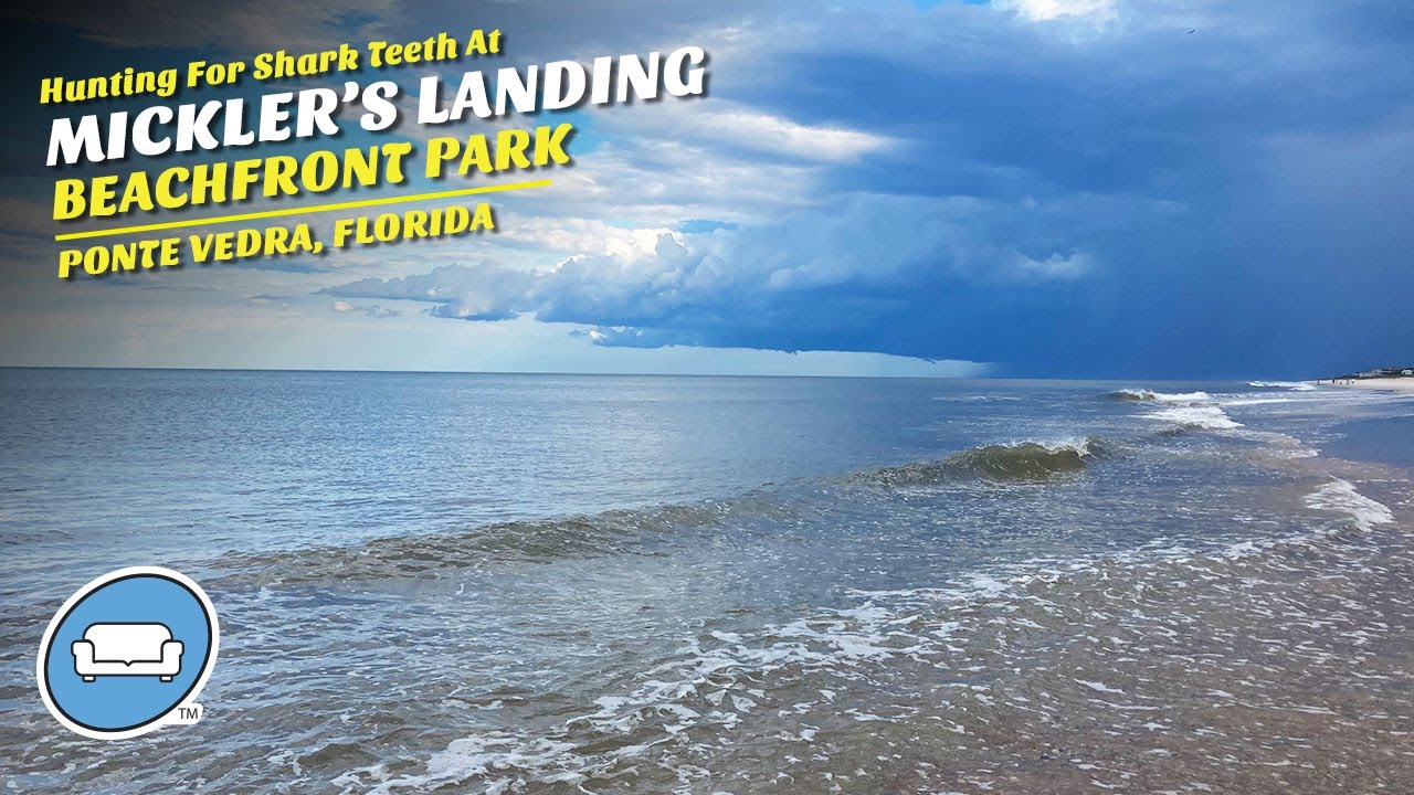 Hunting for Shark Teeth at Mickler's Landing Beachfront Park in Ponte ...