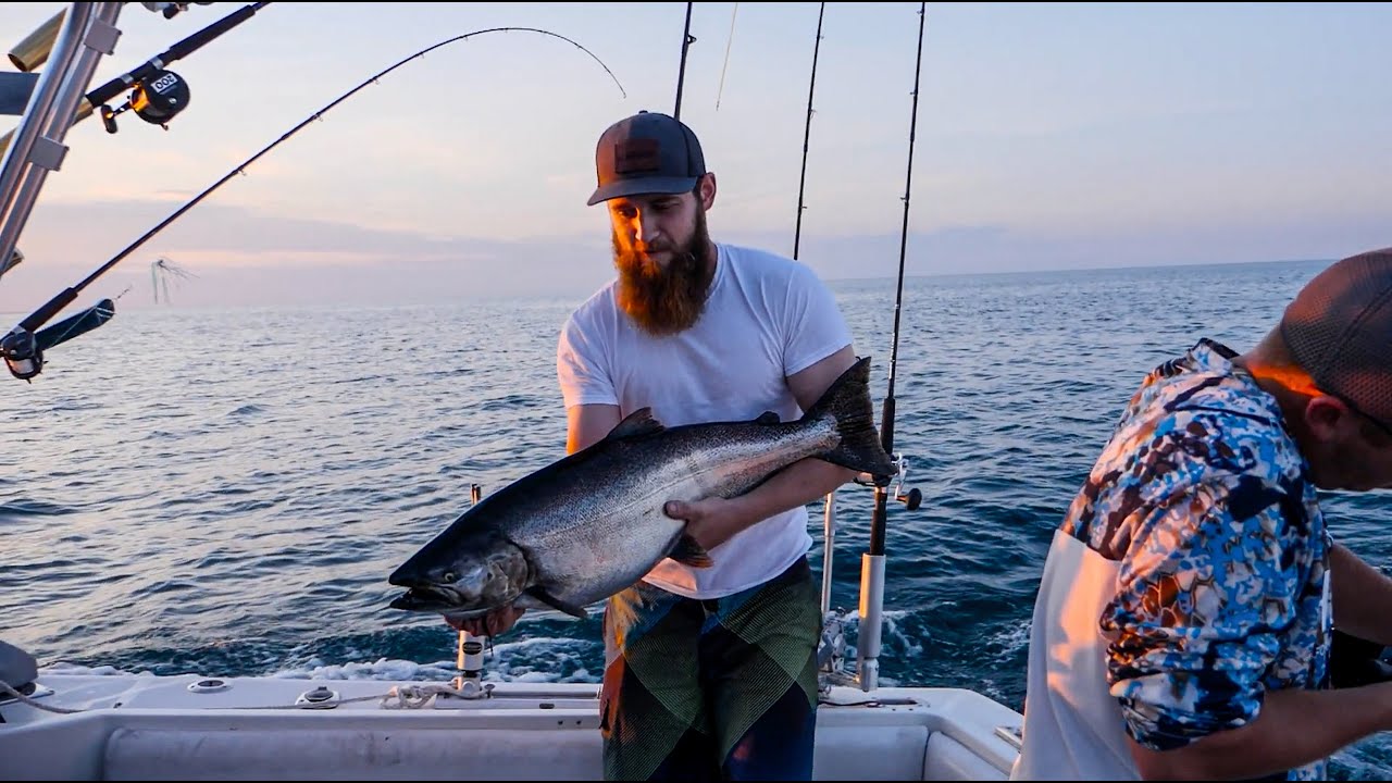 Catch n' Cook - YouTube