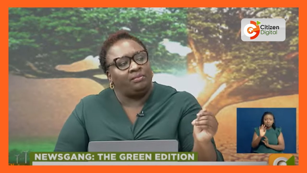 Pamela Asigi: We must look at inward-looking solutions before going out ...