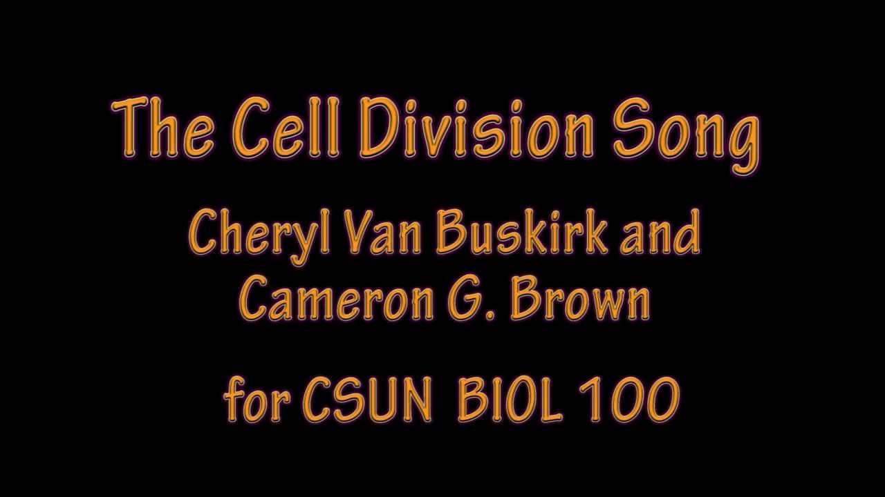The Cell Division Song - YouTube