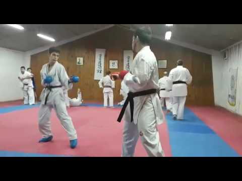 Clases Dojo Matriz N°5