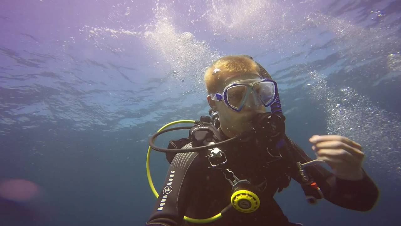 Diving the Alderman Islands - April 2016 - YouTube