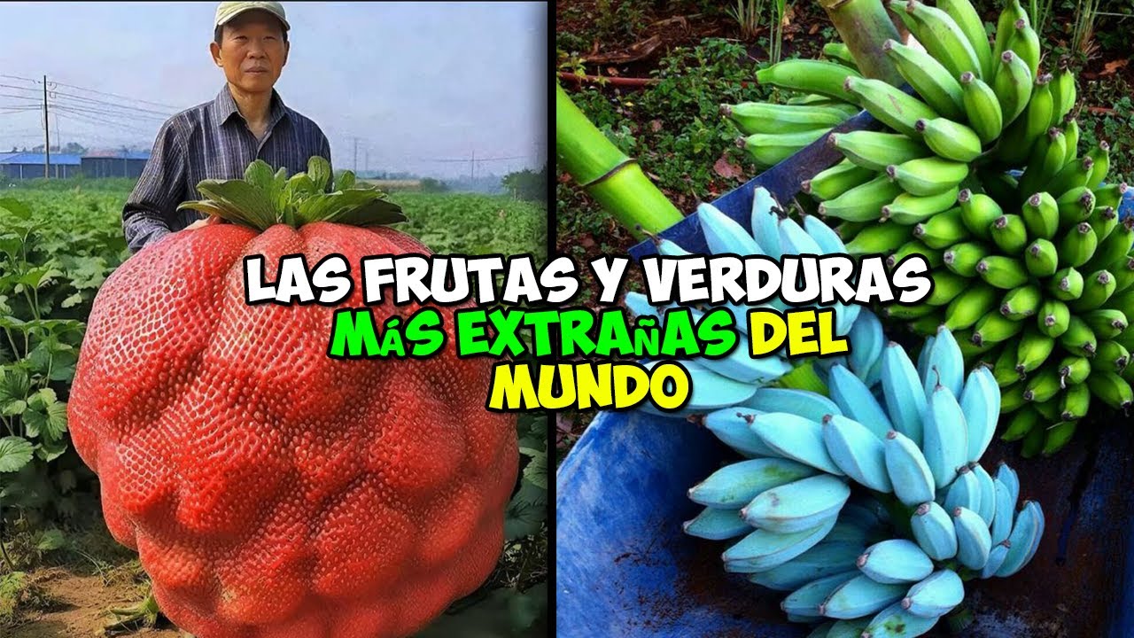 13 Frutas y Verduras Más Extrañas del Mundo - YouTube