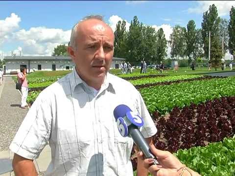Rijk Zwaan Ukraine Demo Station - YouTube