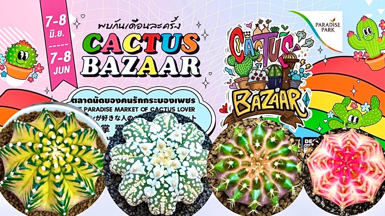 Tour Cactus Fair :🌵 Cactus Bazaar 7-8 June 2025 @Paradise Park | a lot ...