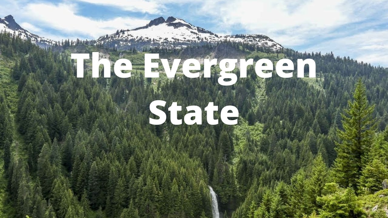 The Evergreen State - YouTube