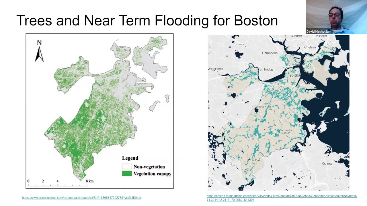 Exploring Boston's Urban Forest - YouTube