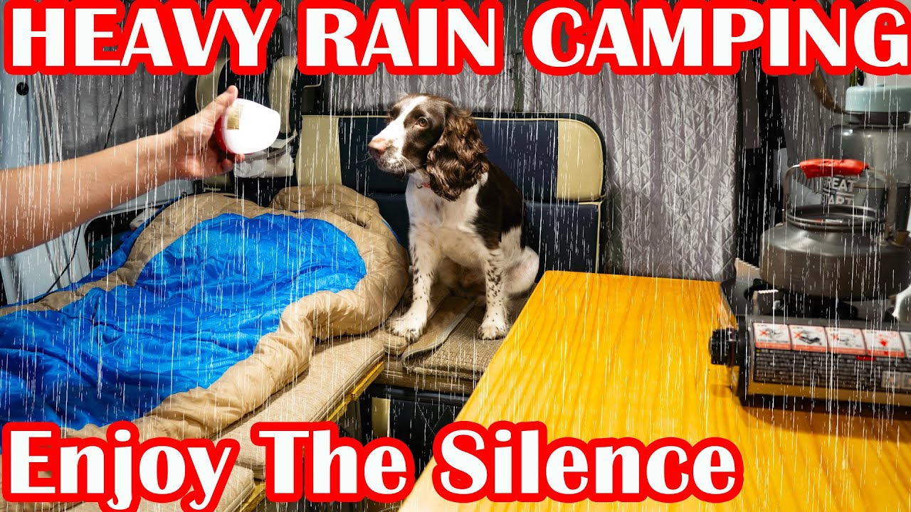 Rain CAMPER VAN Camping , RELAXATION MODE ON ! ASMR - YouTube