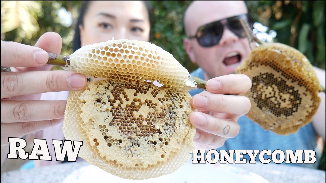 FRESH RAW HONEYCOMB *HUBBY EDITION TASTE TEST (LETS EAT) | SASVlogs ...