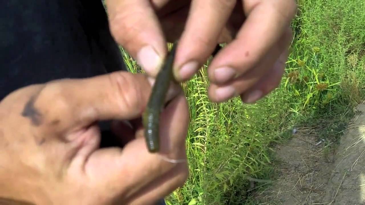 Bass Fishing. How to bass fish with plastic worms lure and tie the ...