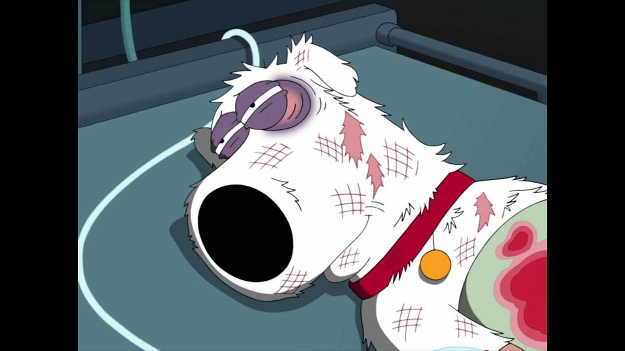 Family Guy Brian Griffin Death Scene - Season 12 Episode 6: Life of ...