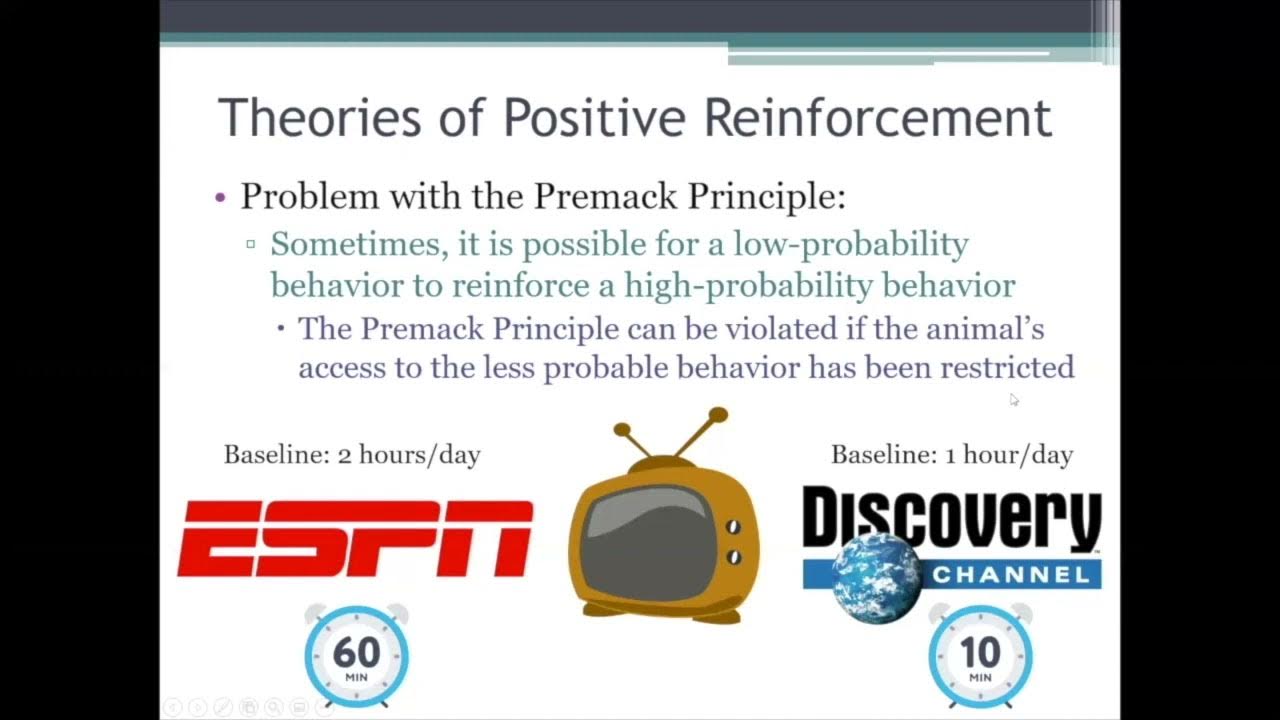 PSYC 370 Video Lecture - Response-Deprivation Theory - YouTube