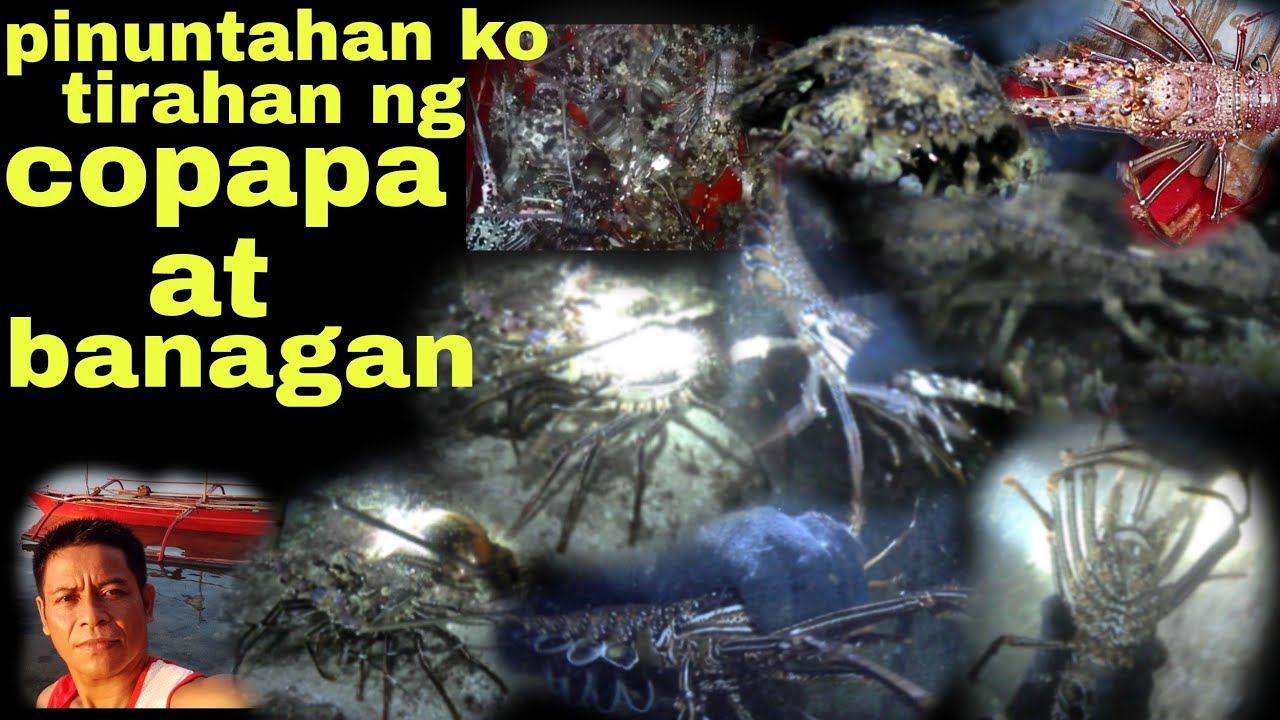 ep42 night spearfishing.pinuntahan ko tirahan ng copapa at banagan ...