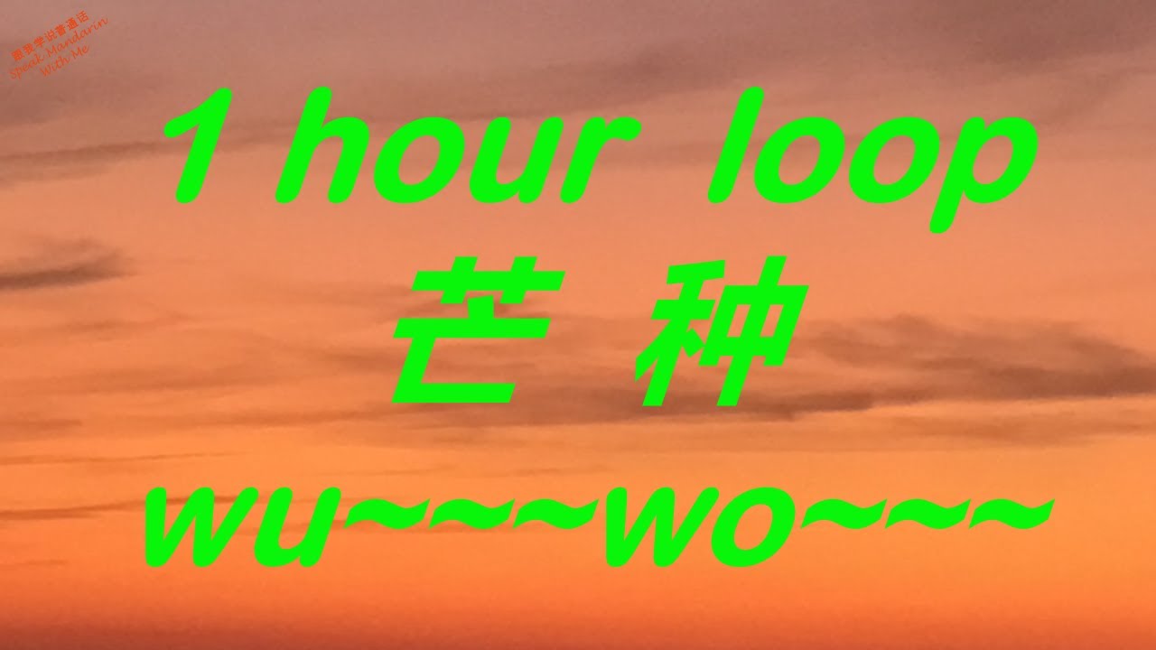【Song】[Lyrics + Pinyin + Eng] 1 hour loop wu--- wo-- (Grain in Ear) 一小时循环版 芒种 (一想到你我就 wu) máng ...