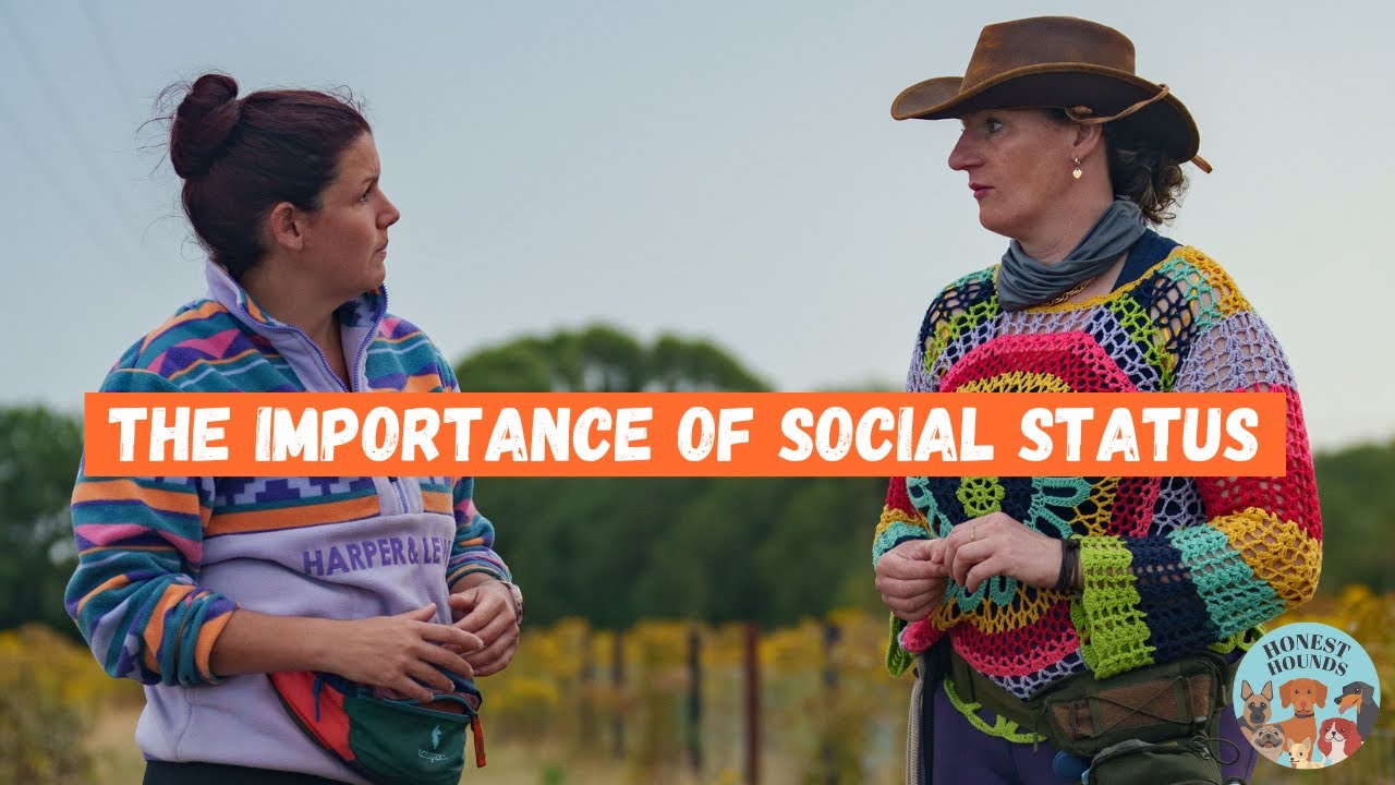 The Importance of Social Status in Your Dog - YouTube