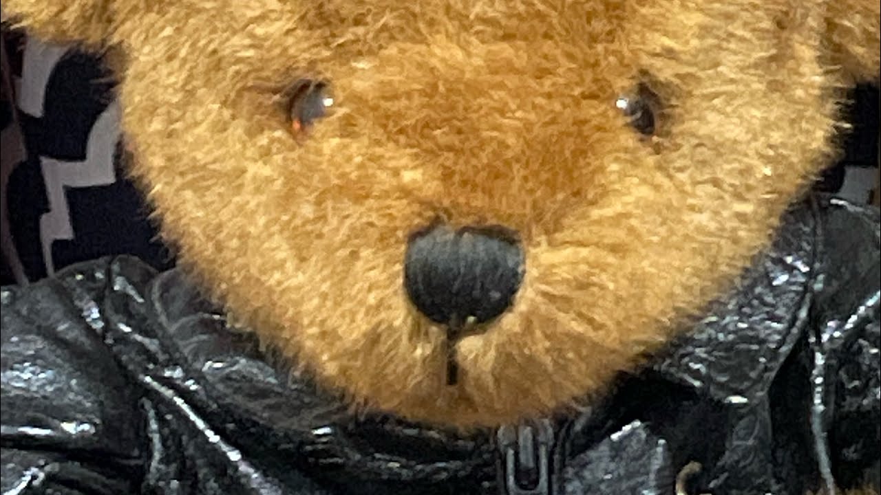 Blue ridge Elvis bear HQ AUDIO - YouTube