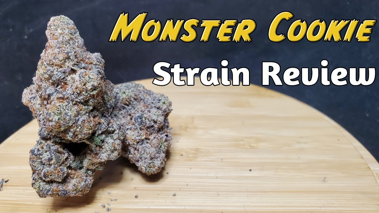 Monster Cookie Strain Review - YouTube