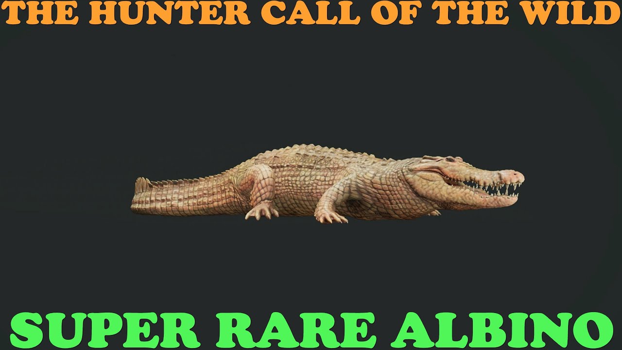 First Super Rare Albino Animal And I Did Something Stupid 😅 - The ...