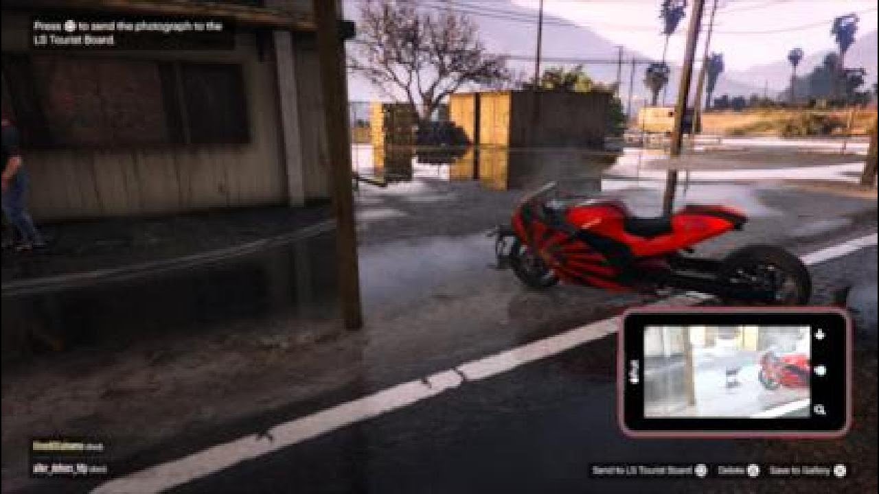 GTA Online - Shoot Animals Photography - Cat, Mountain Lion and Hen ...