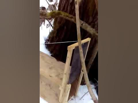 Живоловушка на куницу - YouTube